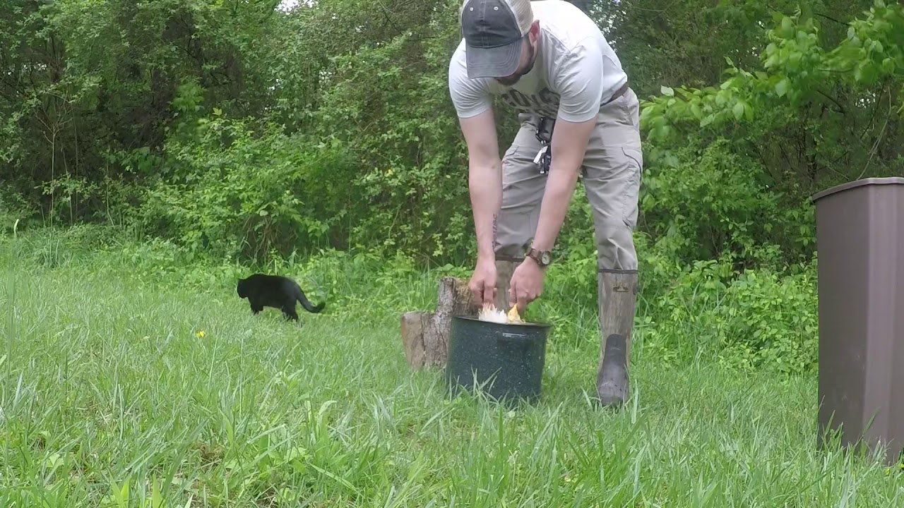 How to cull a chicken part2 - YouTube