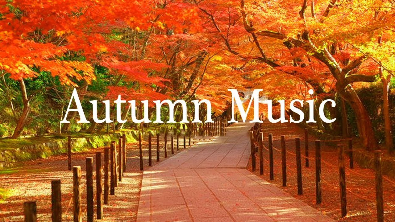 [Playlist] Piano music collectionㅣSoothing music for the autumn - YouTube