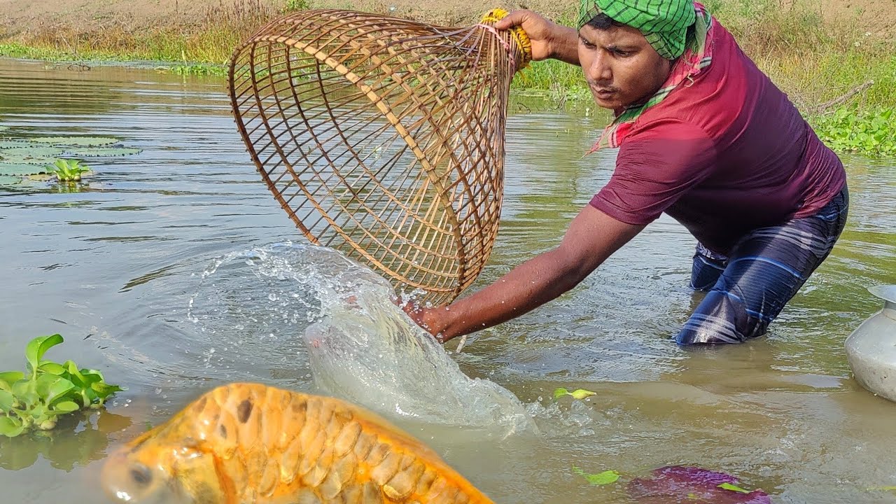 Incredible Fish Hunting Video | Fishing By Polo In Pond - YouTube