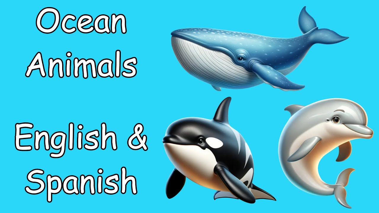 Ocean Animals | Whales, Dolphins, & Sharks | Learn Spanish & English ...