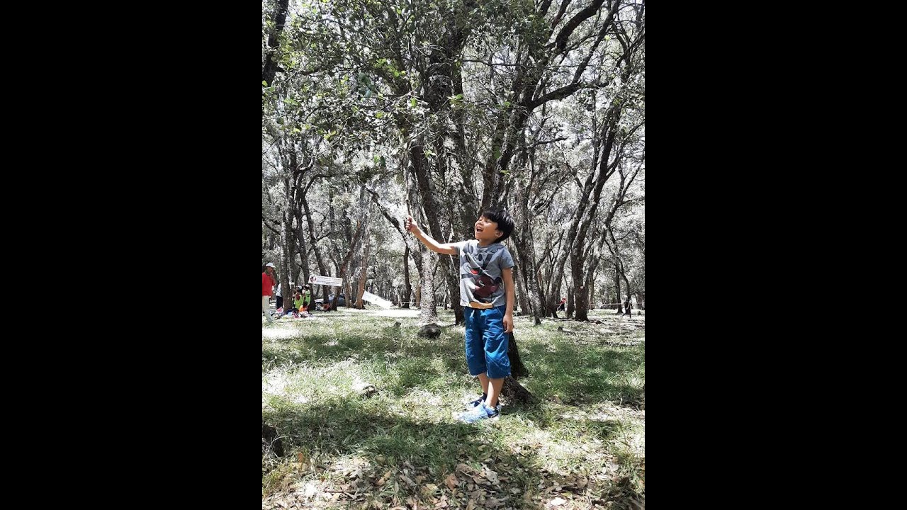 Ifrane Morocco- Visiting Ifrane on Spring time! - YouTube