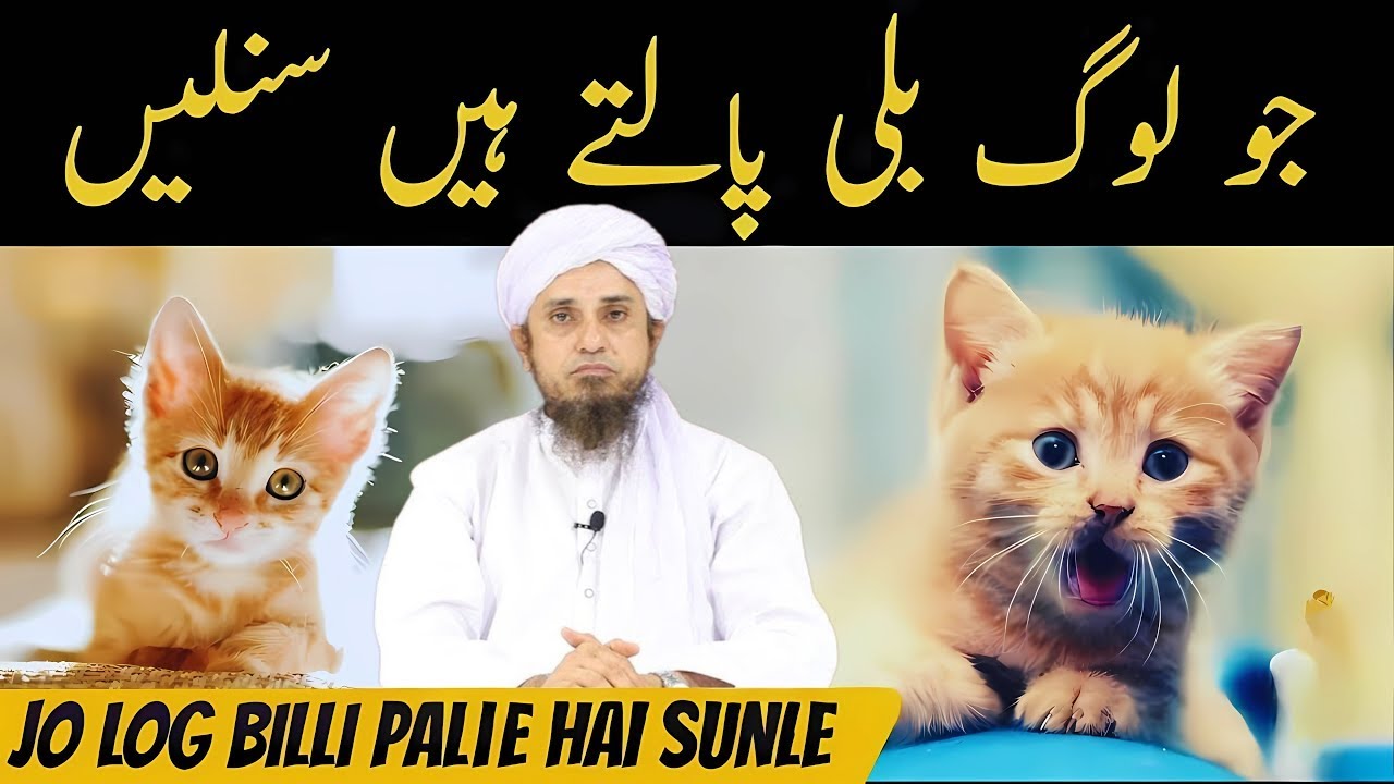 Jo Log Billi Cat Palte Hain Zaroor sunlein l Mufti Tariq Masood Bayan ...