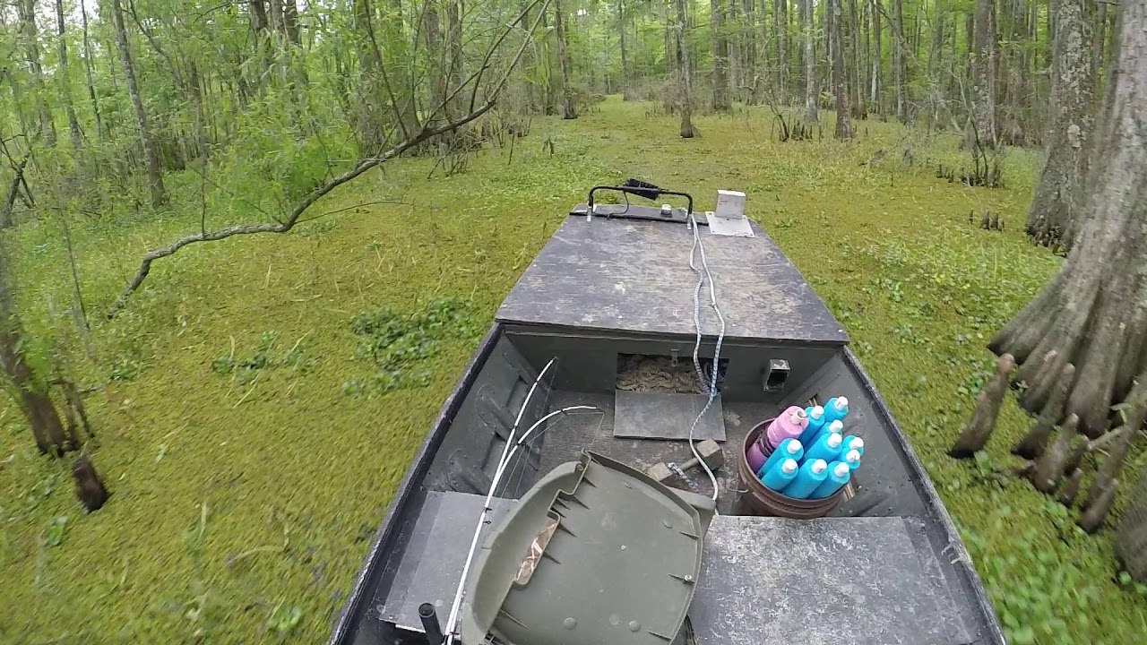 Go Devil Long Tail in Pierre Part, Louisiana (GoDevilGod) - YouTube