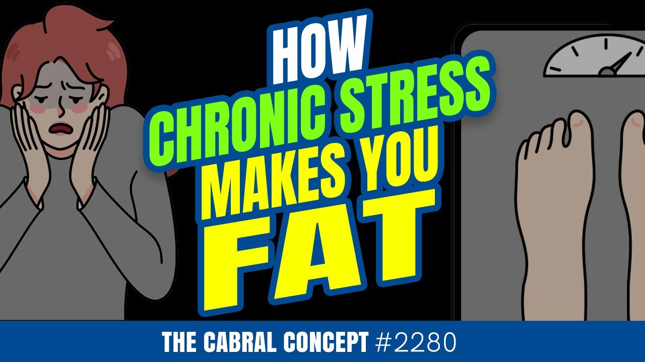 How Chronic Stress Makes You Fat Cabral Concept 2280 Youtube