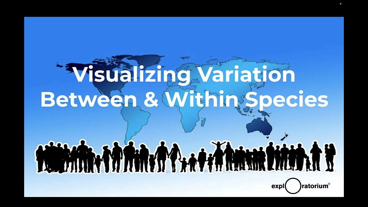 Visualizing Variation Between and Within Species - YouTube