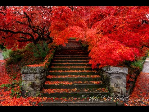 Pacific Northwest Seasons - YouTube