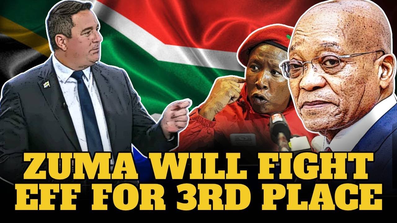 John Steenhuisen DISSECTS Jacob Zuma's EFFECT on the EFF's Fight For ...