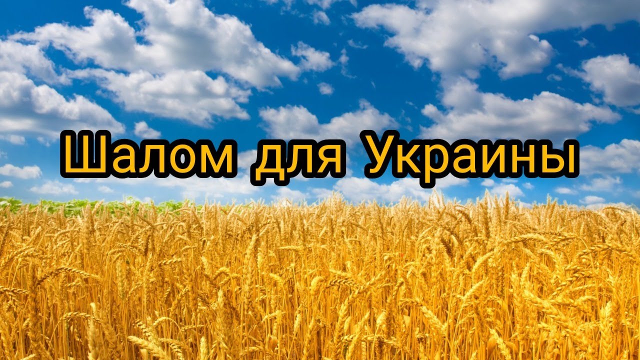 Кто выживет в трудные времена? - YouTube