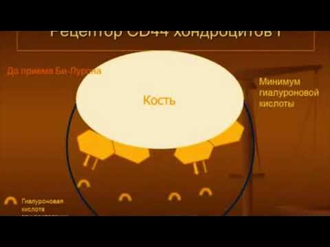 Би-Лурон - гиалурон-хондроитиновый комплекс B-LURON Нильс Душек - YouTube