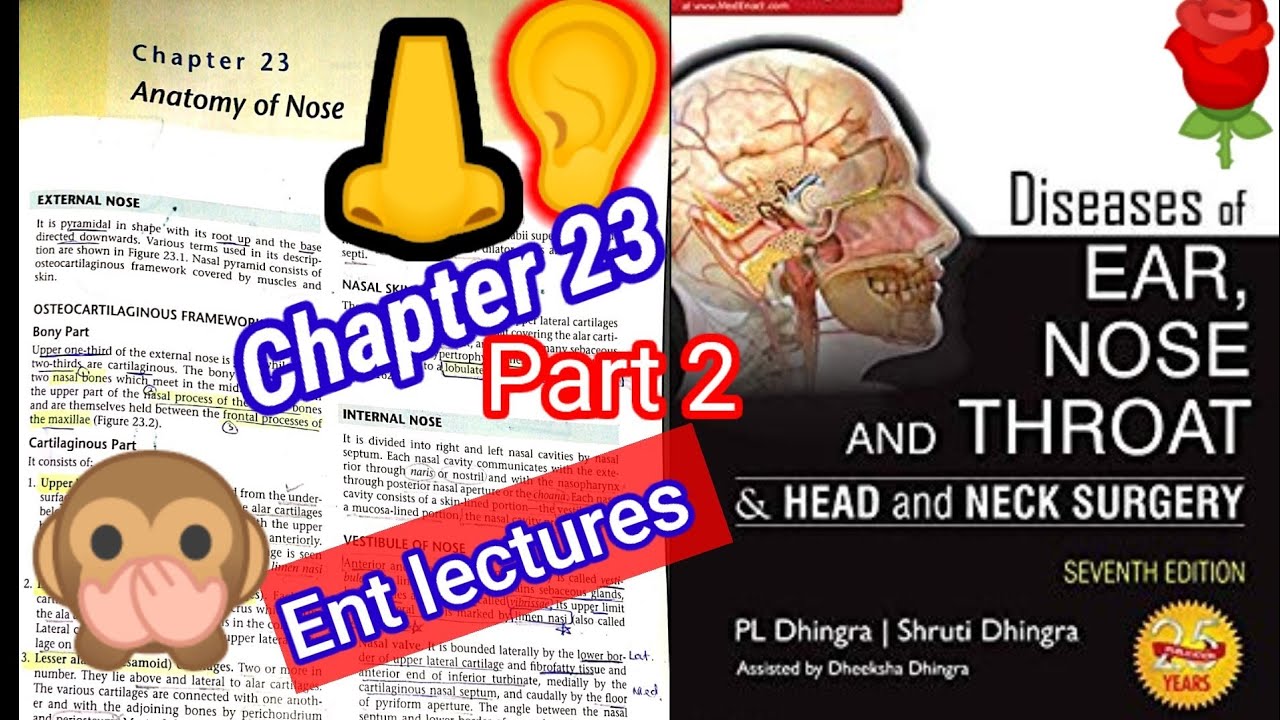 Anatomy and physiology of 👃. nose. 🔴 ENT DHINGRA lectures. CHAPTER 23 ...