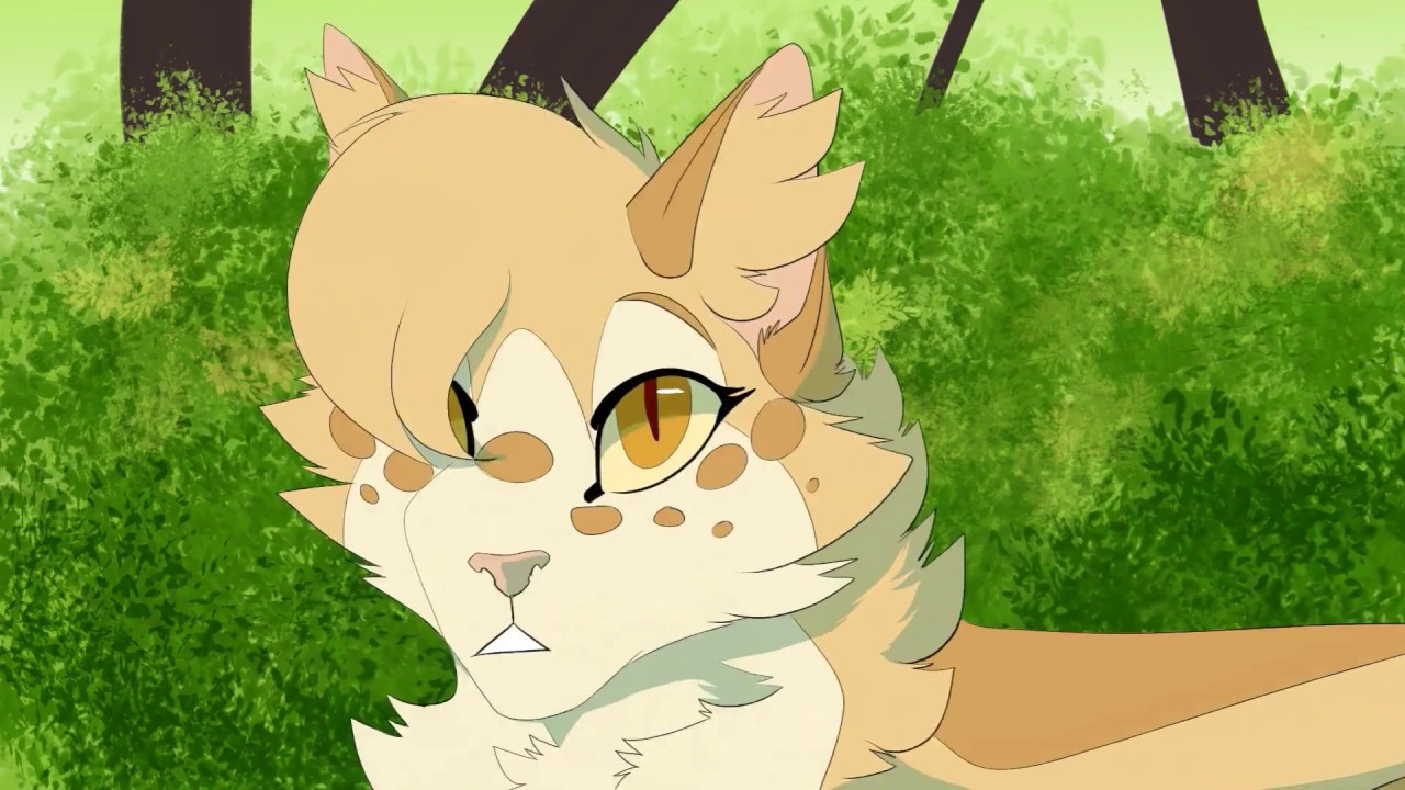 Mapleshade Map - Part 12 - YouTube