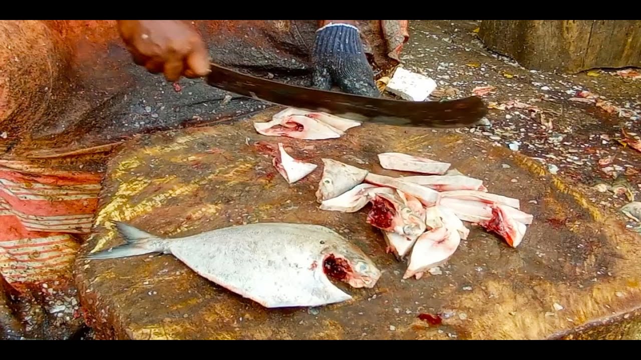 Amazing Fish cutting/Fish cutting video - YouTube