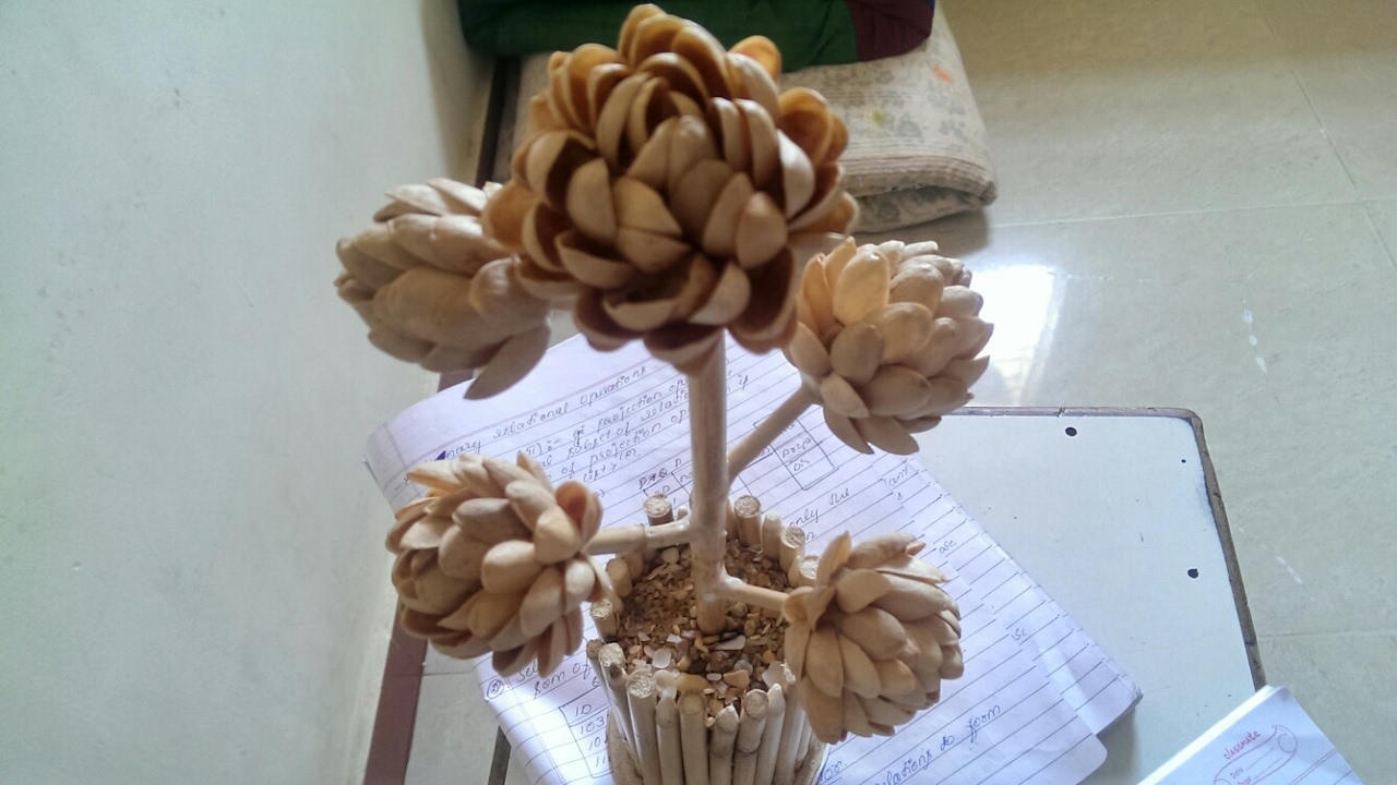 how to make Pista shell flower and plant . - YouTube