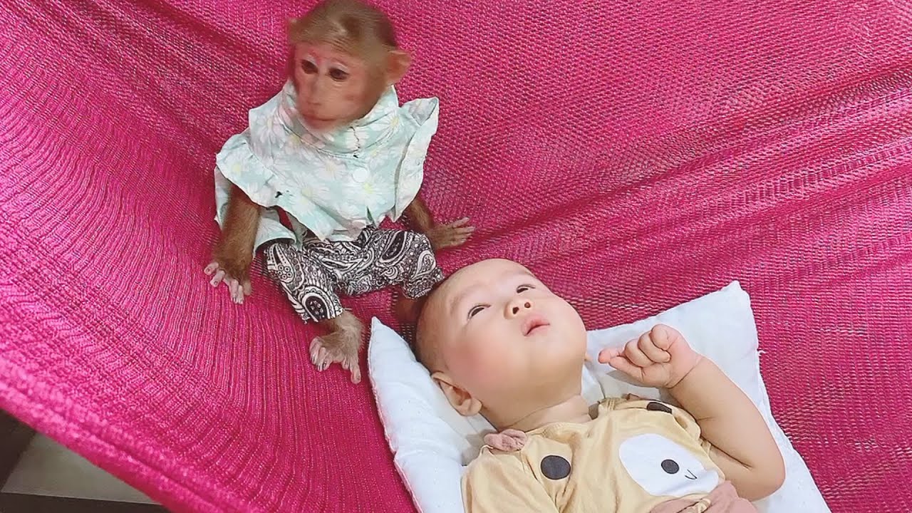 Monkey Molly watches baby Minh's nap so cute - YouTube