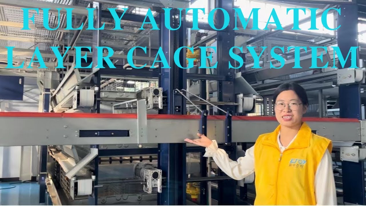 EJOY fully automatic layer cage system - YouTube