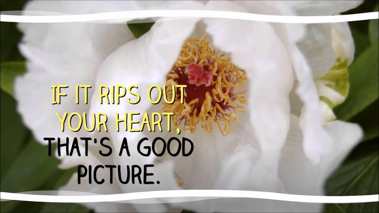 Jason Clapp Photography - (360) 566-3117 - YouTube