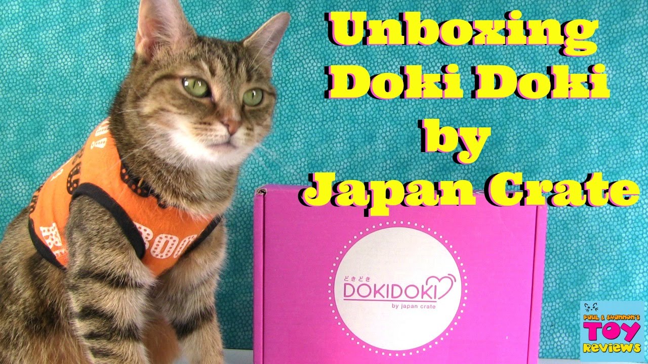 Doki Doki by Japan Crate March 2016 Unboxing Re-ment Bento & More ...