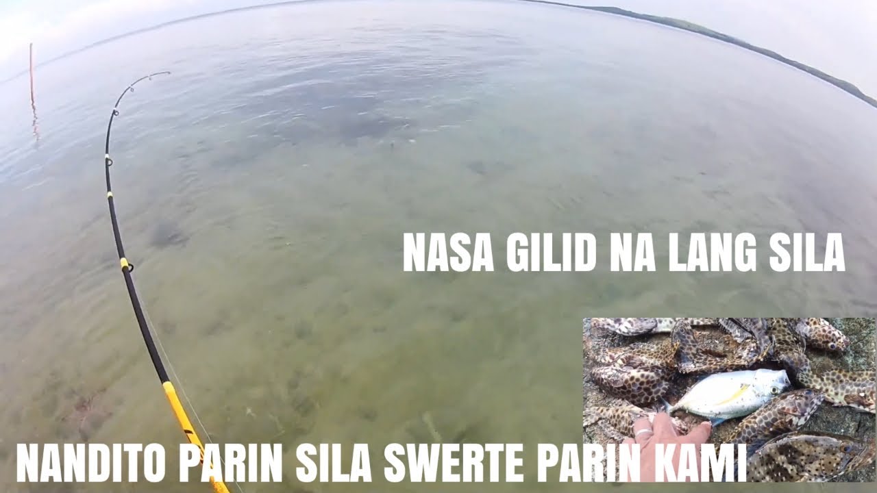 BICOL FISHING TV |MAGANDANG PAIN EP9 | NASA GILID LANG SILA SWERTE ... BICOL FISHING TV |MAGANDANG PAIN EP9 | NASA GILID LANG SILA SWERTE ...