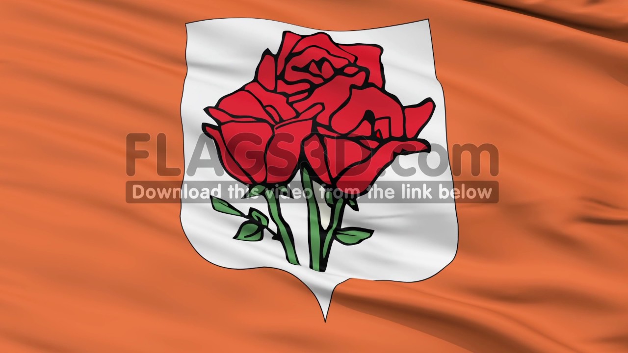 Rose Island Micronation Close Up Waving Flag - YouTube