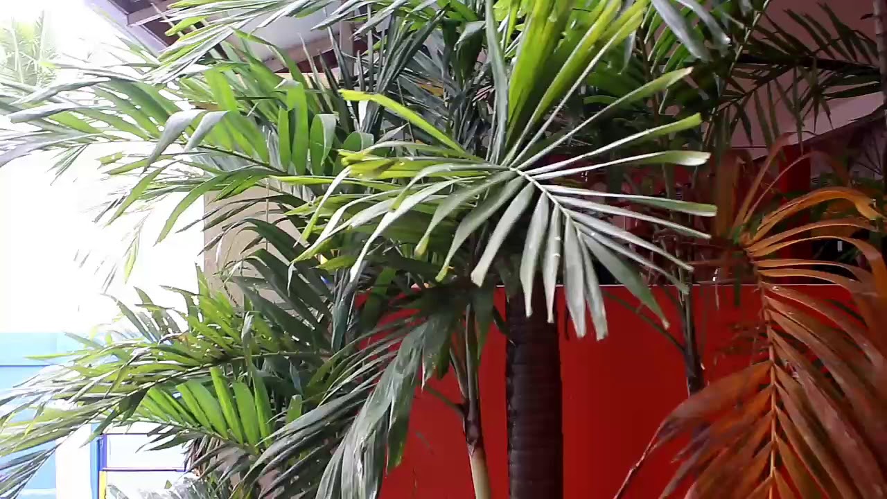 Kinagot Resort | Private Pool In Cavite - YouTube