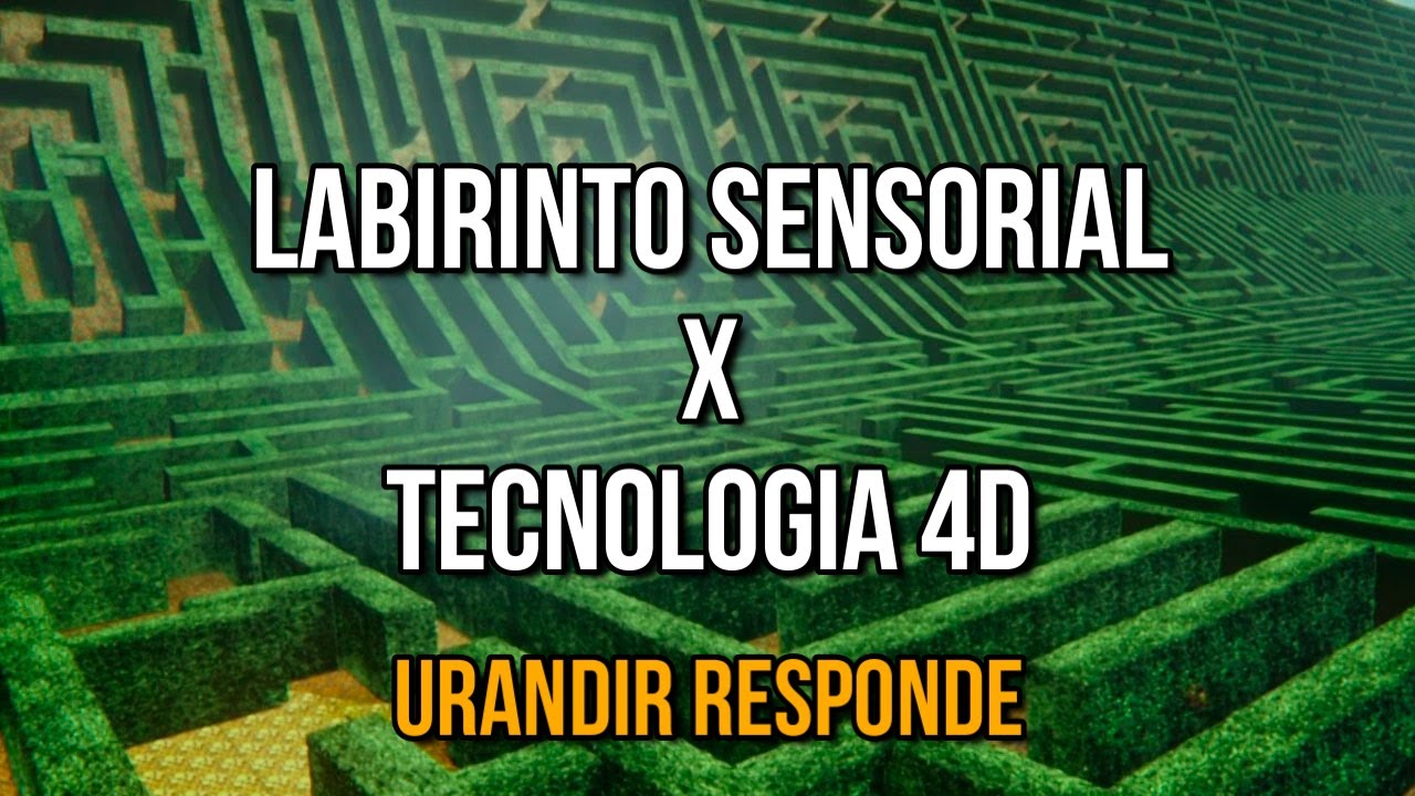 Labirinto Sensorial X Tecnologia 4D - YouTube