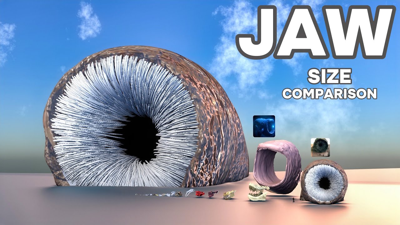 Animal Jaws Size Comparison! (Sandworm Jaw, Monster Jaw) - YouTube