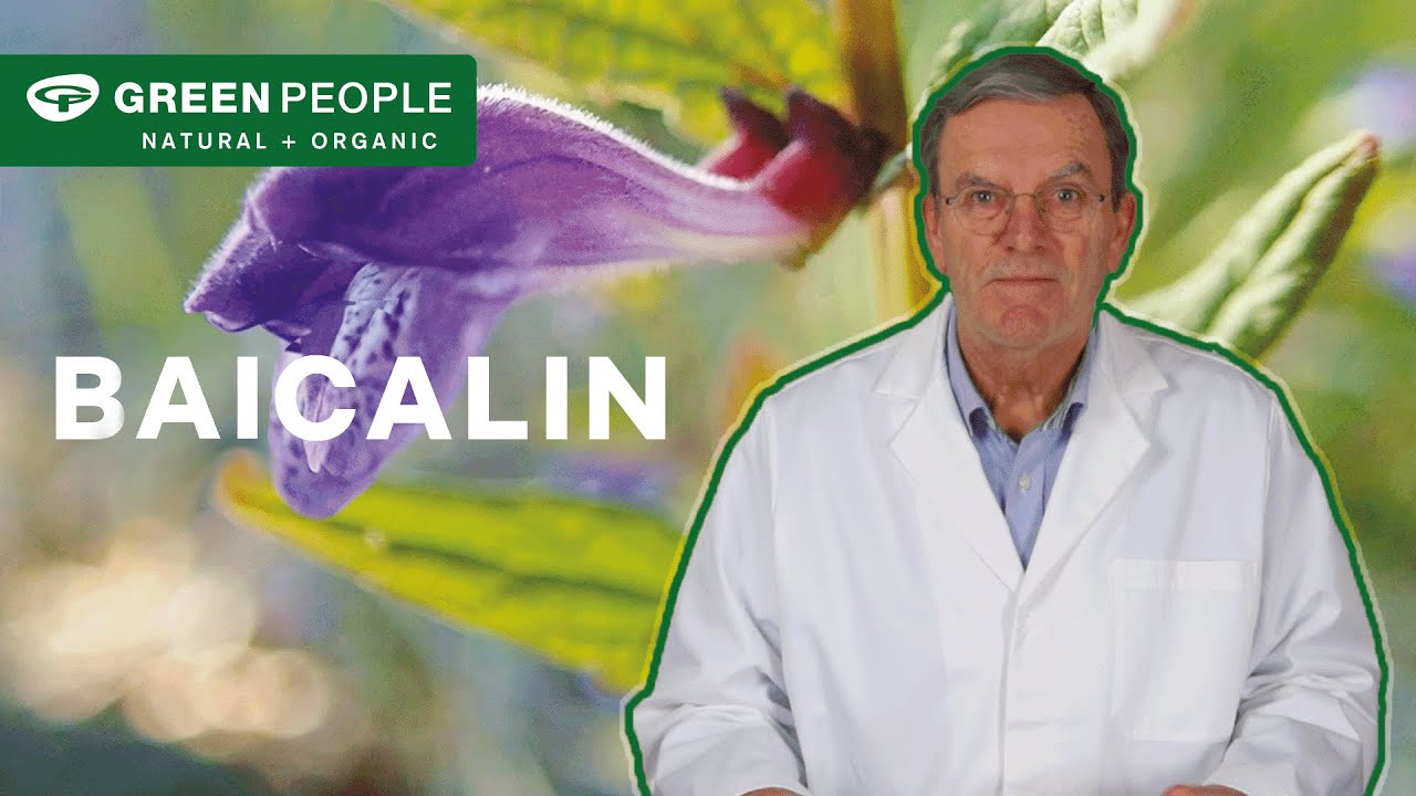 What are the Uses and Benefits of Baicalin | Ingredients with Ian ...
