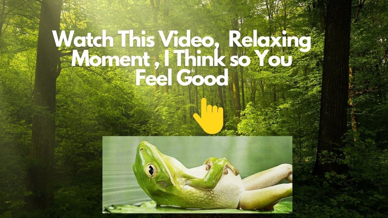 Watch This Video, MS Relaxing Moment , I Think so You Feel Good - YouTube