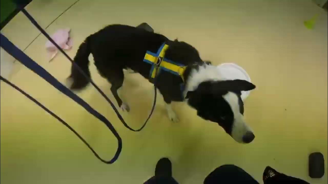 2B Masters Containers 05-03-24 - YouTube