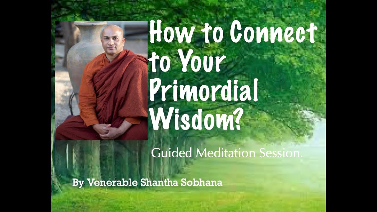 How to Connect to Your Primordial Wisdom? - YouTube