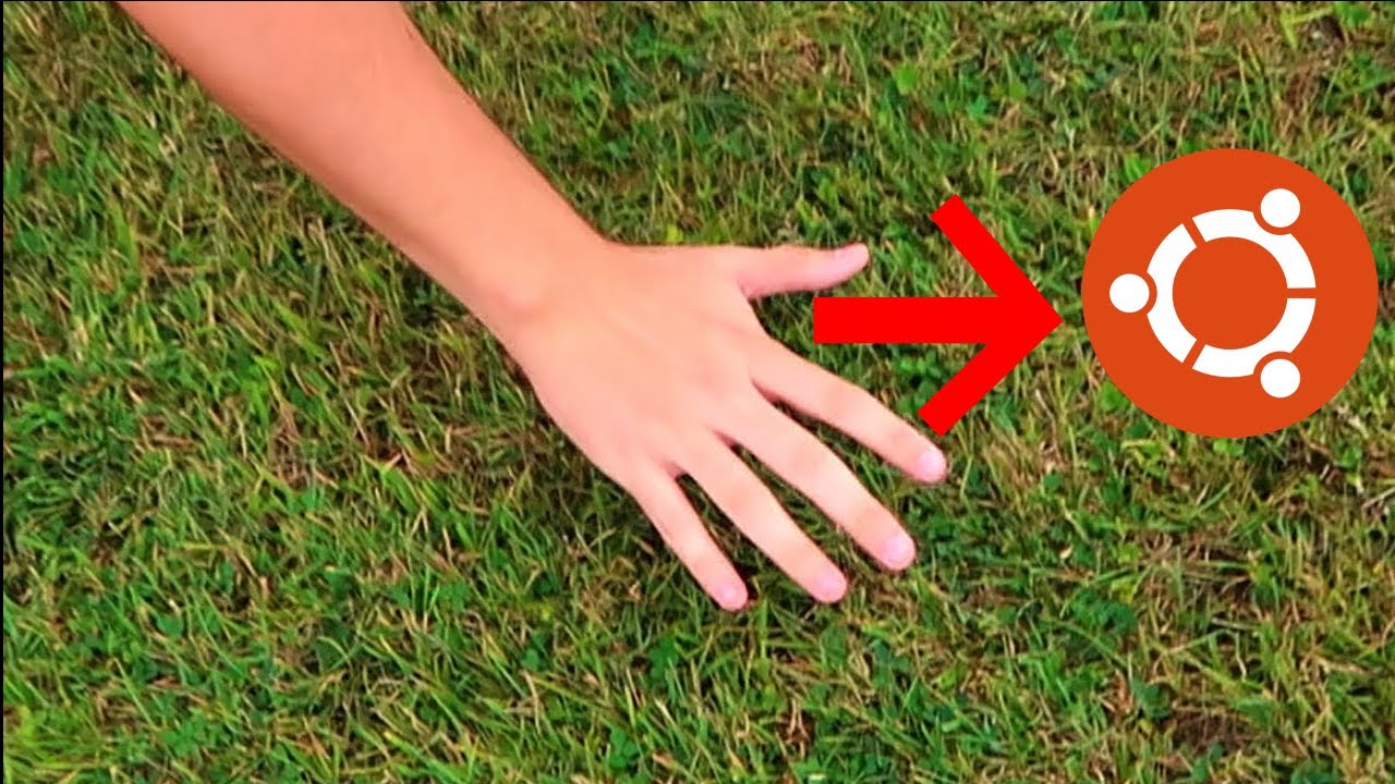 How to touch grass on Linux using the terminal! (Tutorial 2024) - YouTube