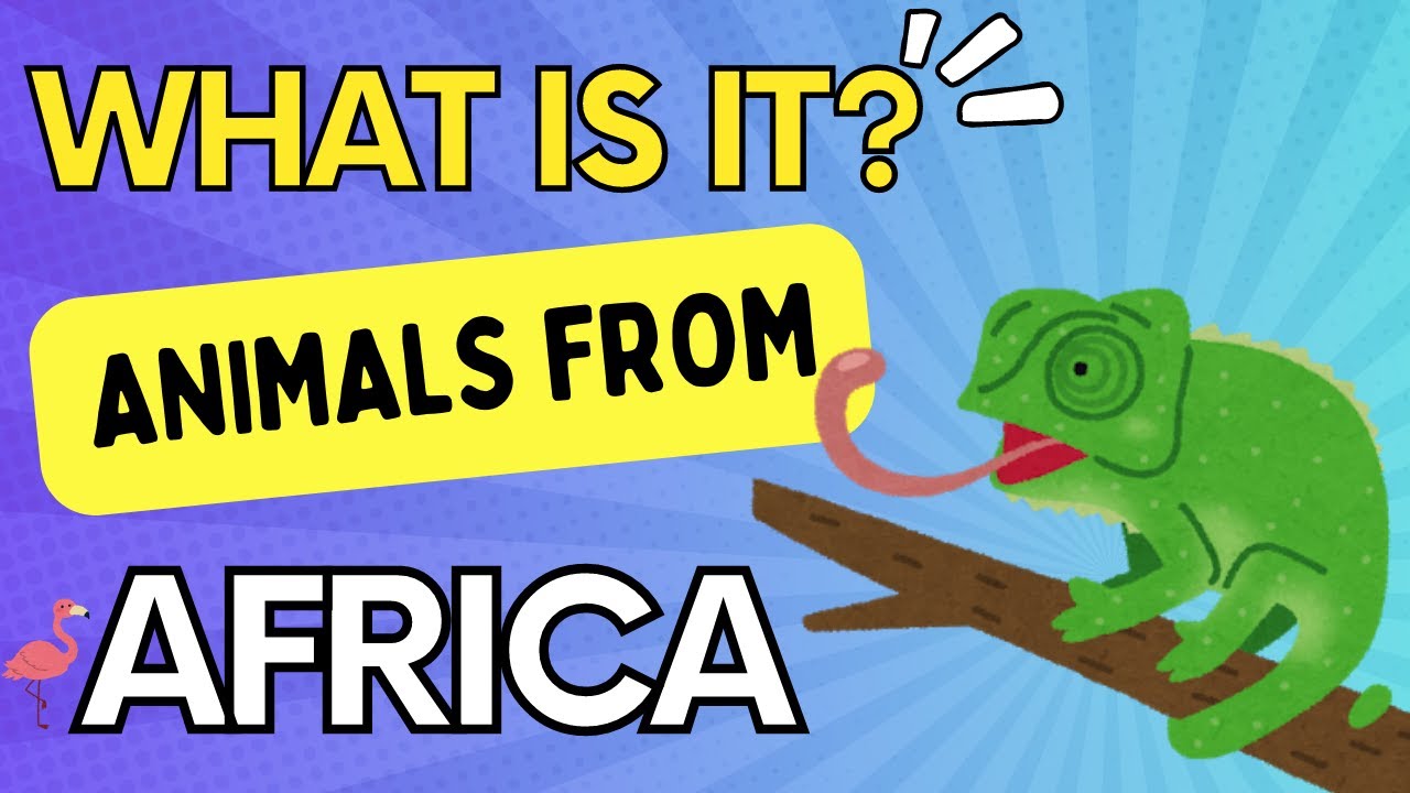 What Is It? | Animals | Guessing Game | Learn English | Learn African ...