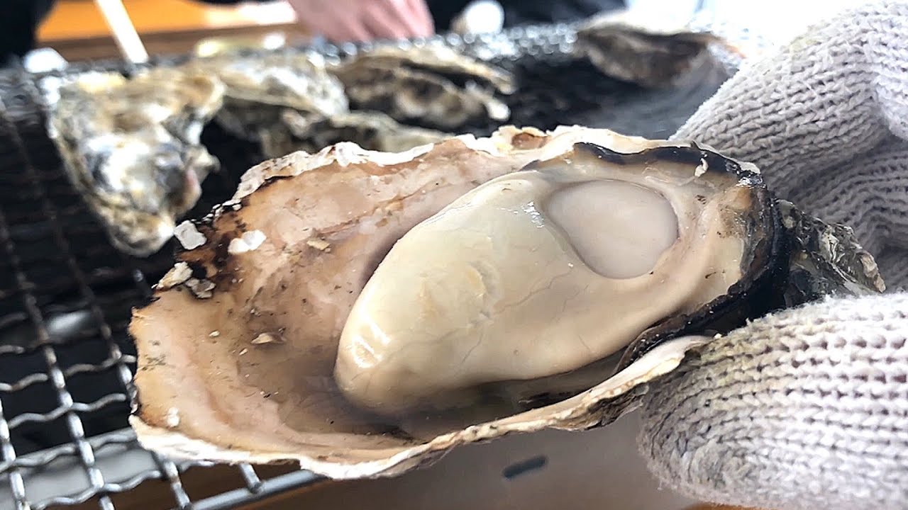 Amazing Oysters in JapanーSeafood#101 - YouTube