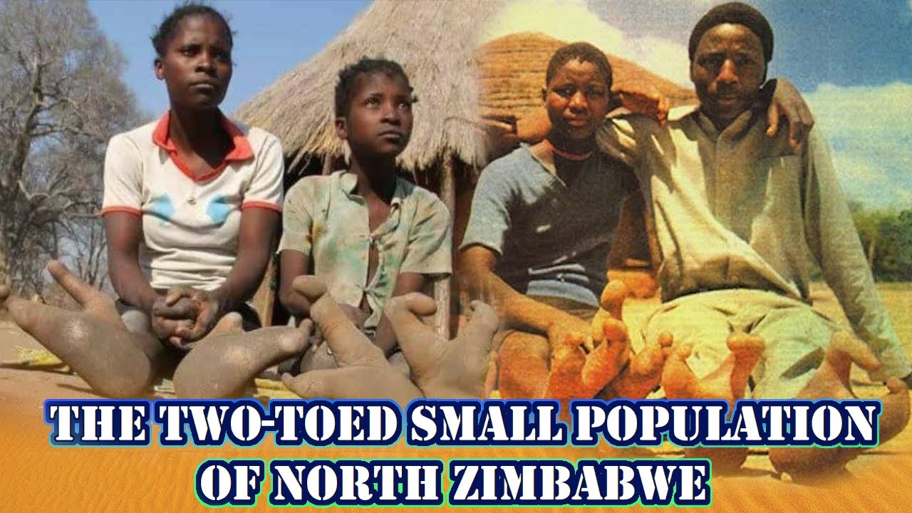 The Two-Toed Small Population Of North Zimbabwe - YouTube