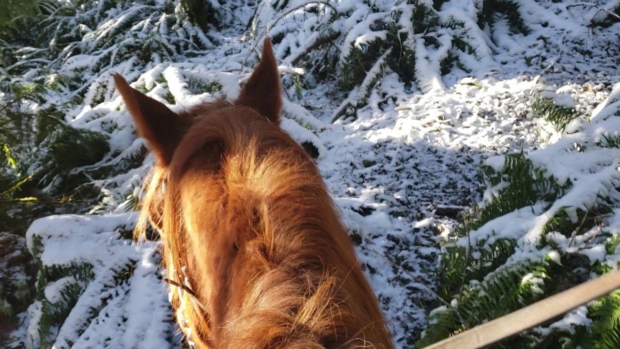 Snow everywhere | Gopro horse riding / eztimes horse ride - YouTube