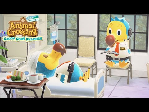 Wilbur Crashed His Seaplane | Animal Crossing Dodo Airlines Accident ...