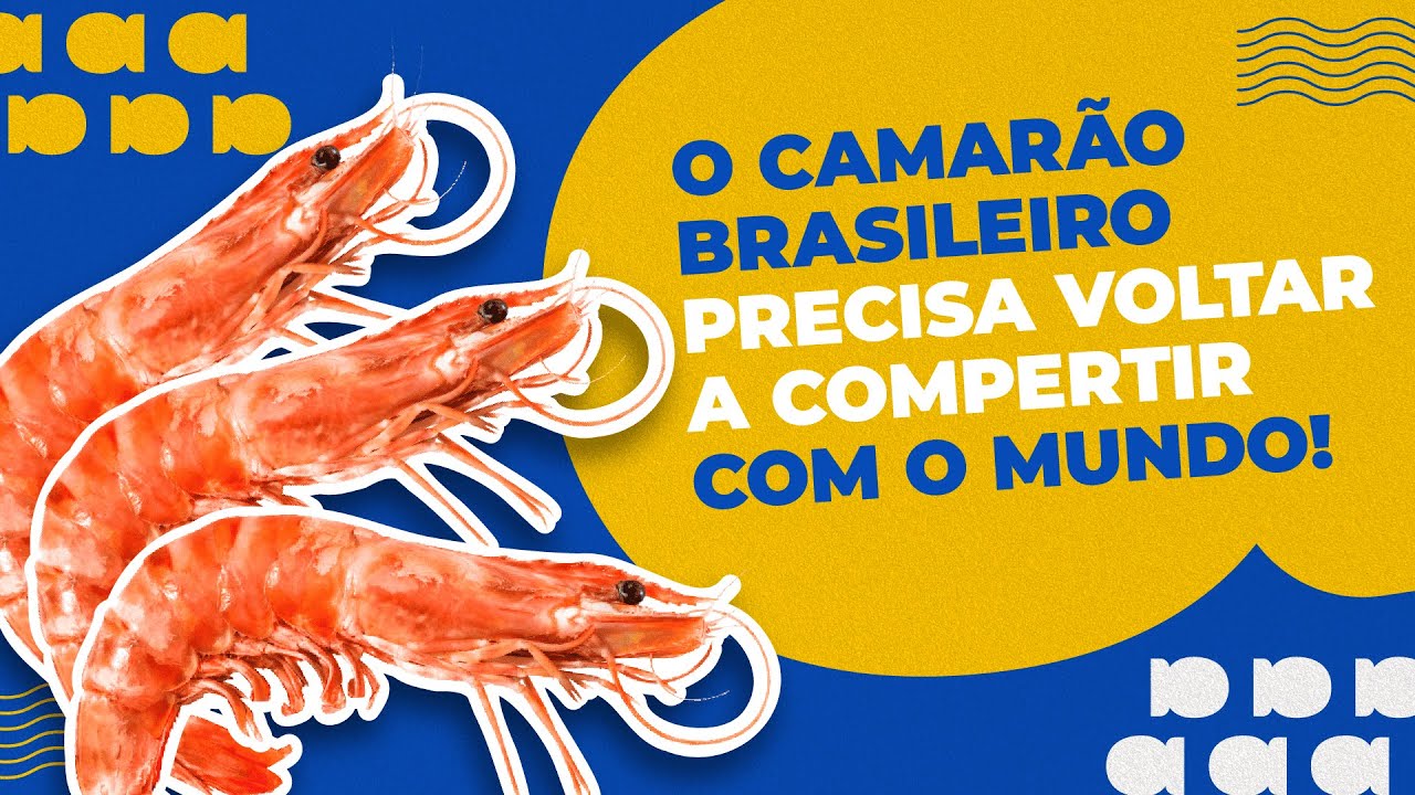 Porque a CARCINICULTURA do Brasil precisa mudar para SOBREVIVER! Uma ...