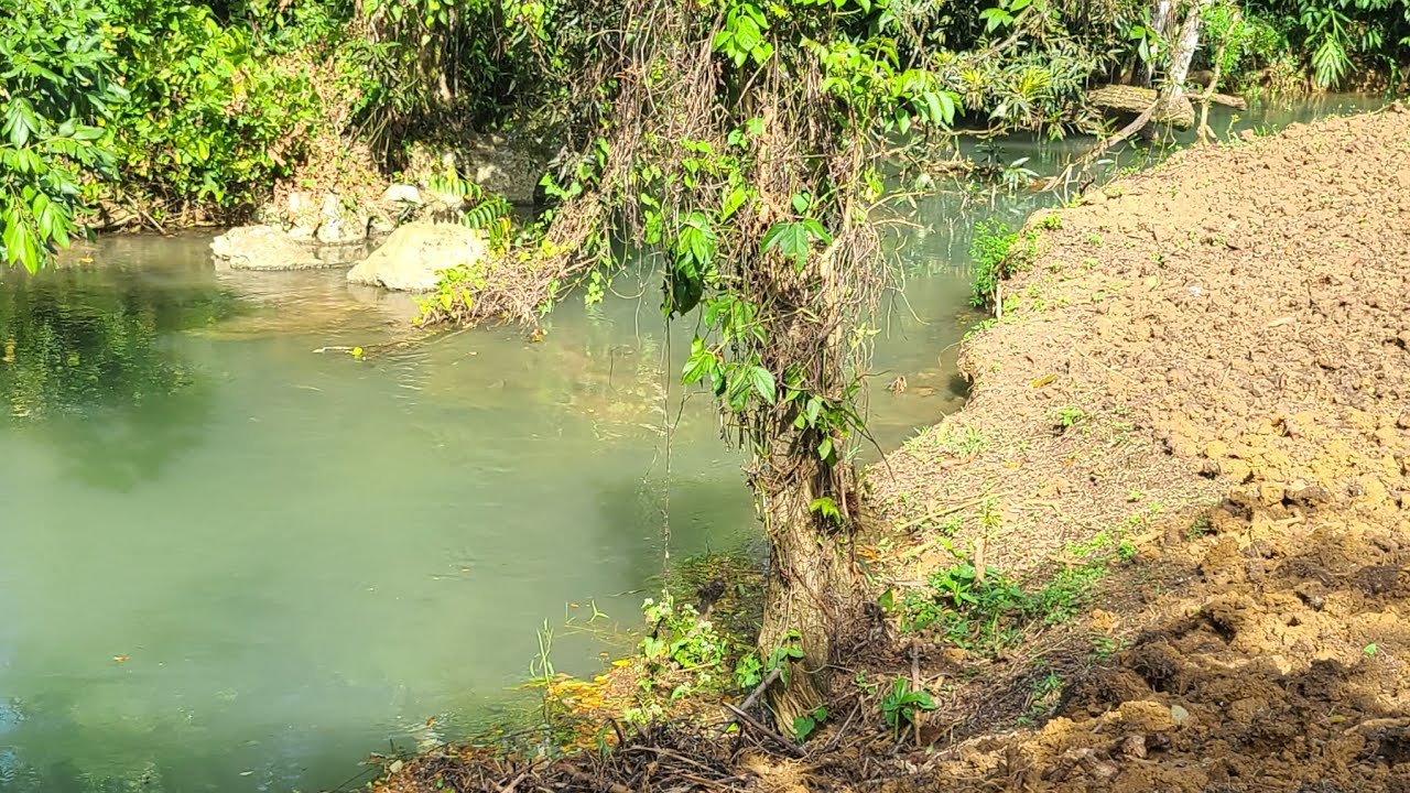 MAGICAL!!!|FRESH WATER STREAM|JA FARM TOUR.. - YouTube