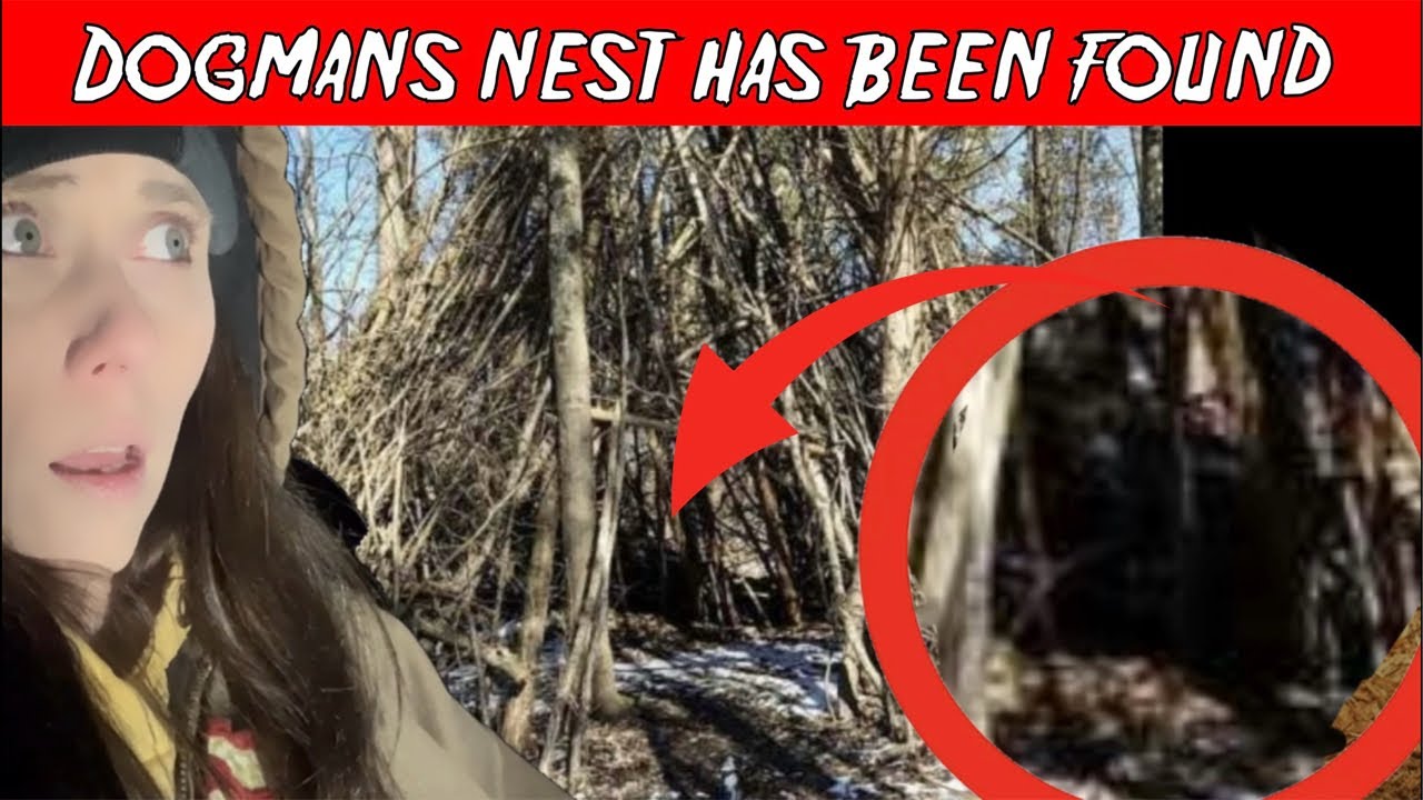 DOGMAN FOUND BY DISC GOLFERS LETS GO FIND IT ! - YouTube
