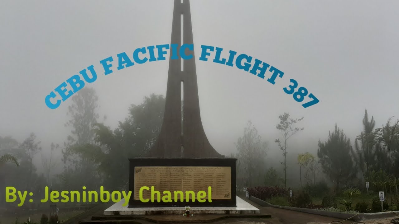 CEBU PACIFIC FLIGHT 387 Plane Crash_ Jesninboy Channel - YouTube