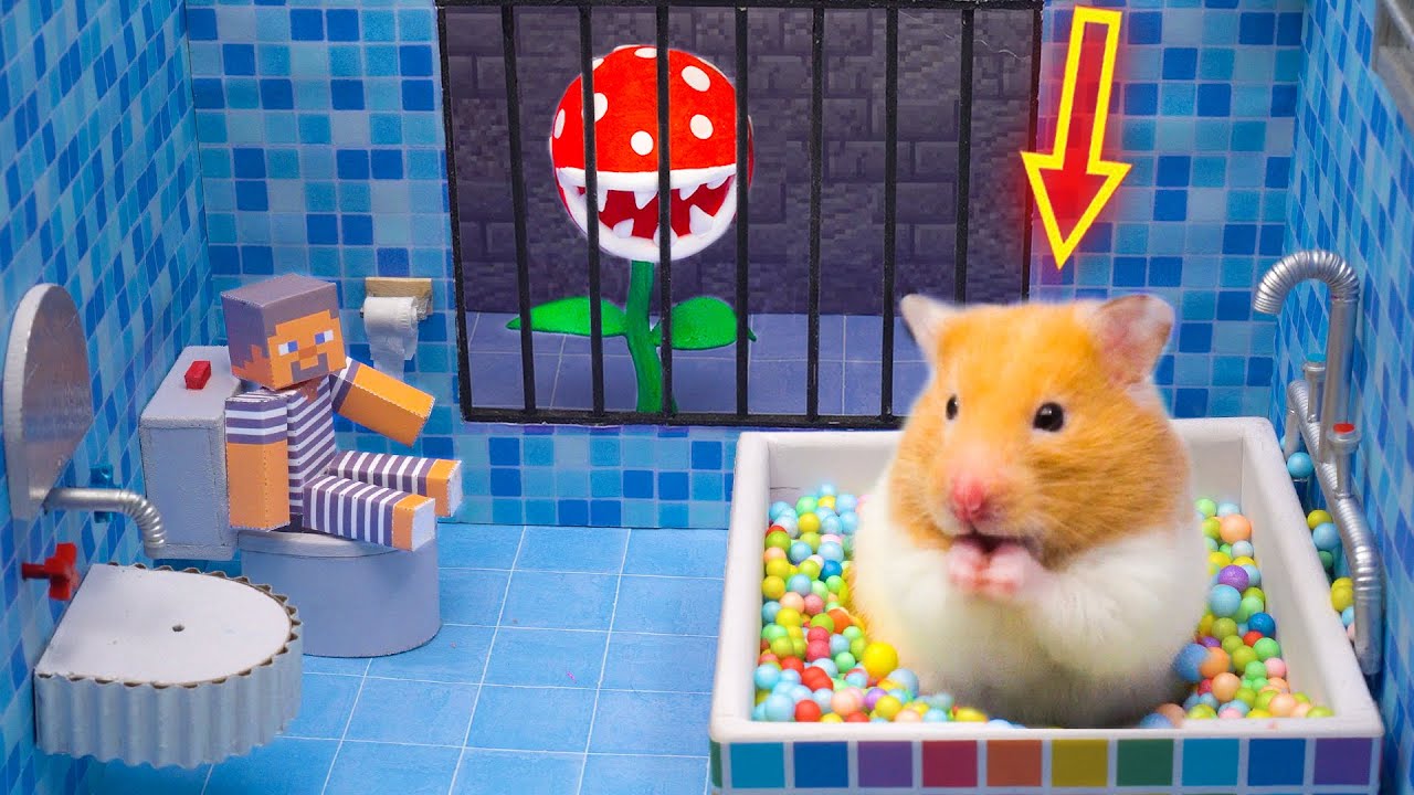 Hamster Escapes Prison Mario 🐹 Super Mario Hamster Bros 🐹 in real life ...