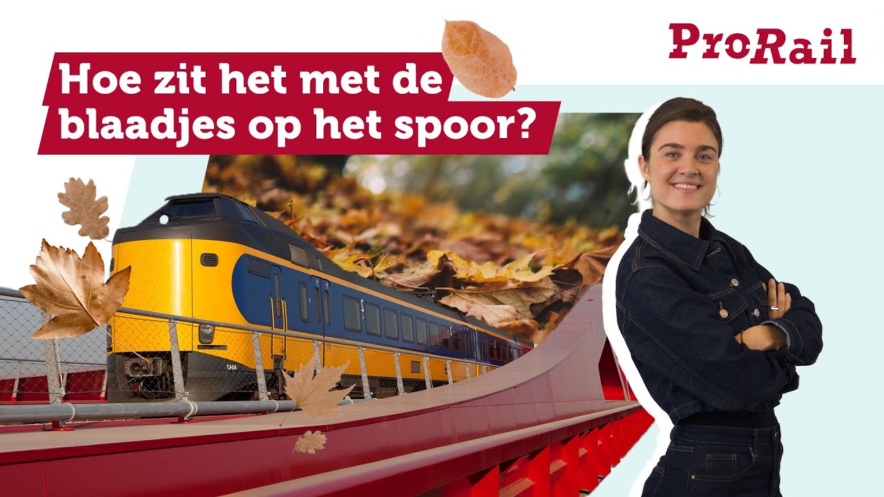 Waarom blaadjes op het spoor invloed hebben op het treinverkeer | FAQ ...