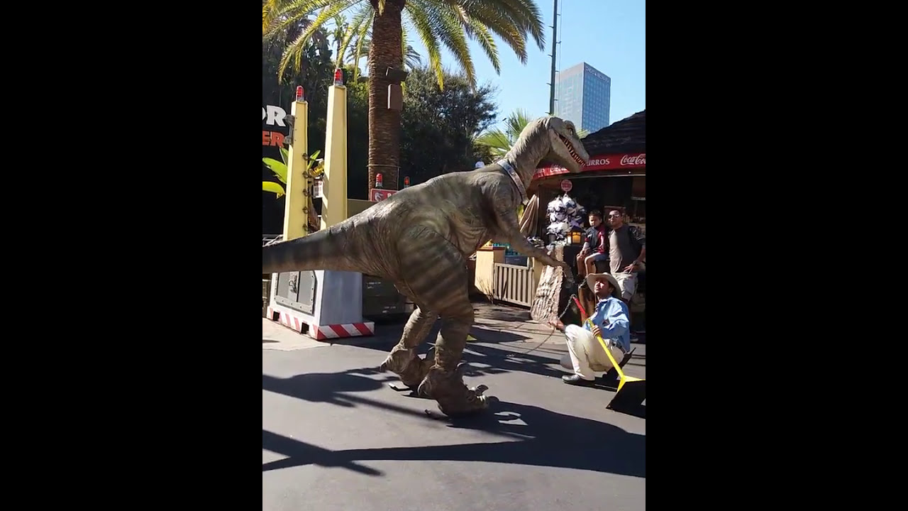 Raptor Encounter at Universal Studios LA 2 - YouTube