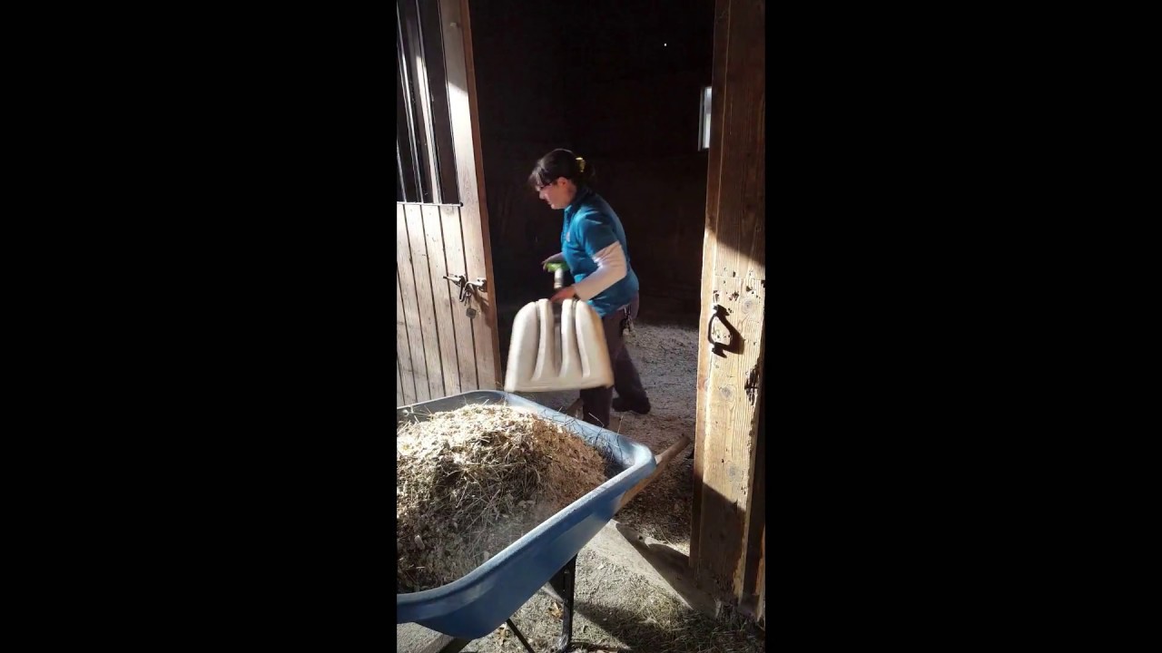 Cleaning The Zoo - YouTube
