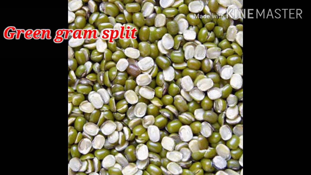 Pulses names in English - YouTube