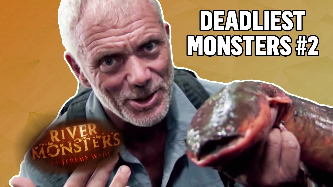 Deadliest Monsters #2 | COMPILATION | River Monsters - YouTube