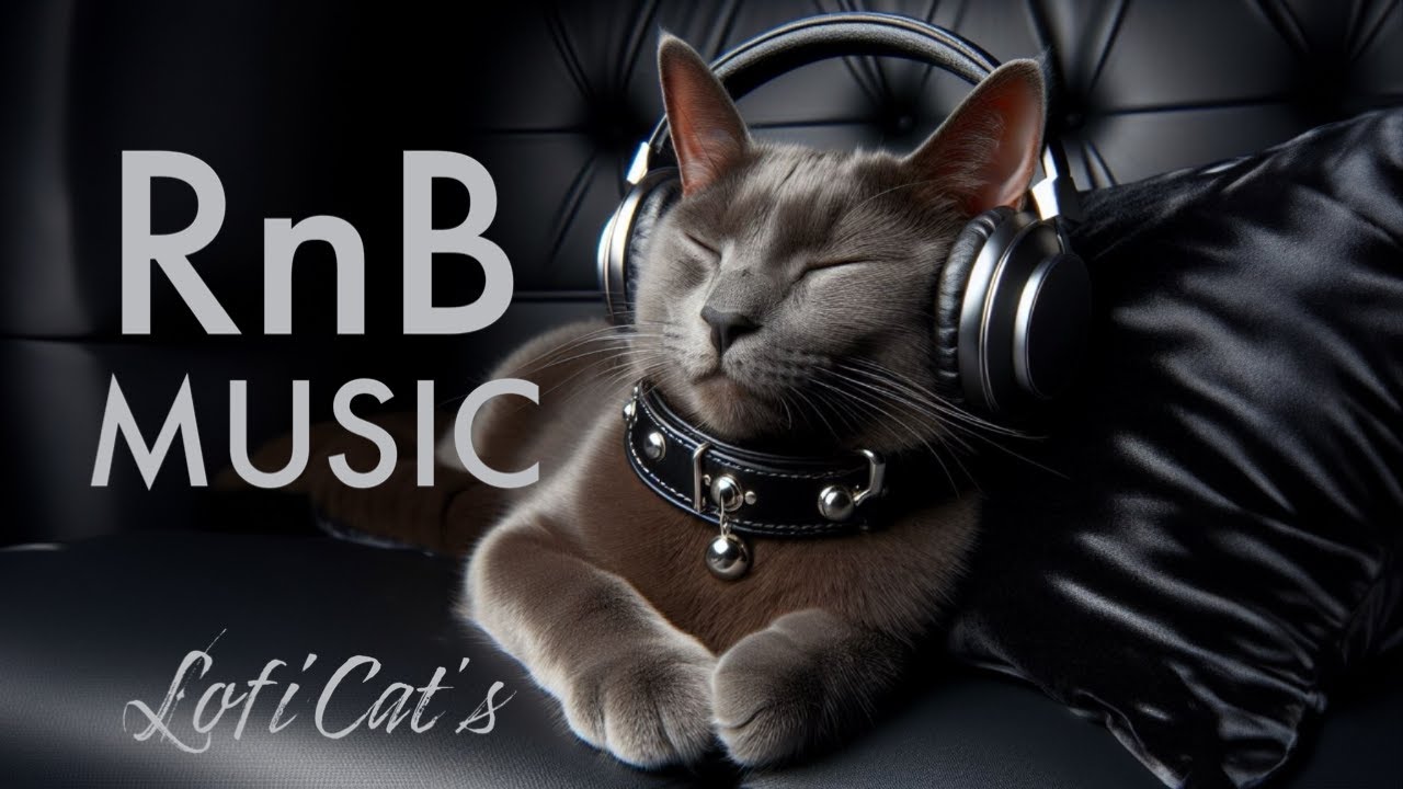 Smooth RnB Instrumentals: Perfect for Studying, Working, or Relaxing at ...