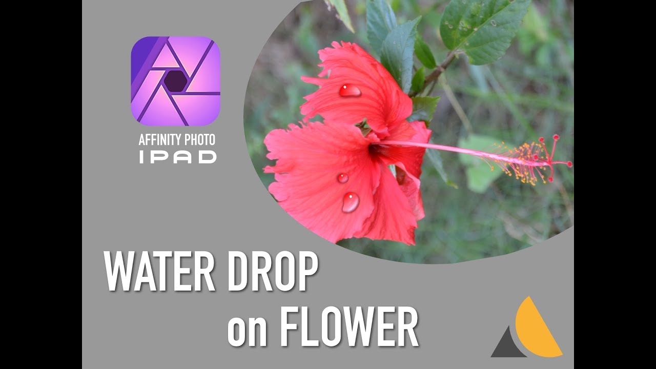 Affinity Photo iPad — WATER DROPS on a flower - YouTube
