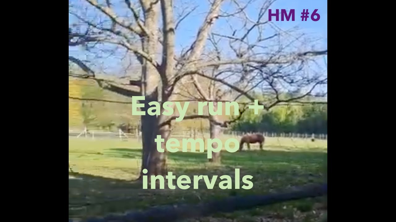Easy Run + Tempo Intervals post sore ankle | HM # 6 - YouTube