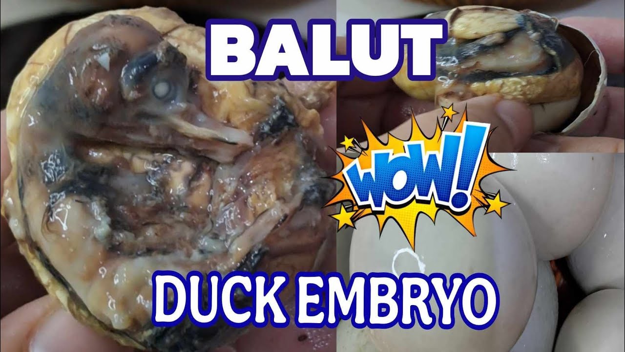 🔴ASMR Balut Duck Embryo EXOTIC DELICACY ep.27 - YouTube